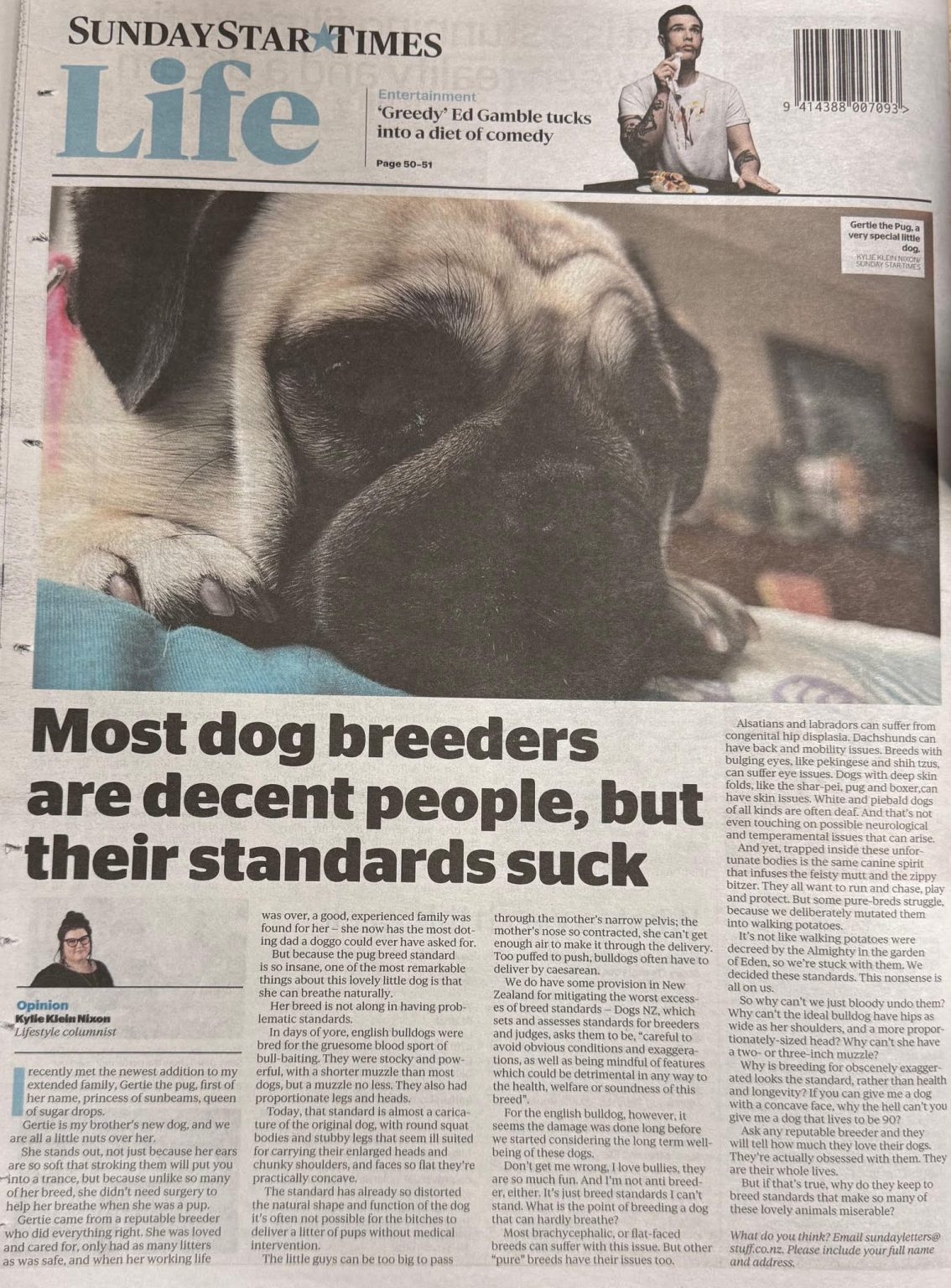 Beezkneez Pugs | Ethical Pug Breeder in Auckland, New Zealand